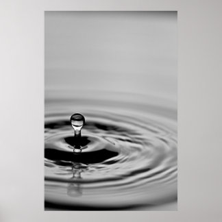 Water Drop Posters | Zazzle