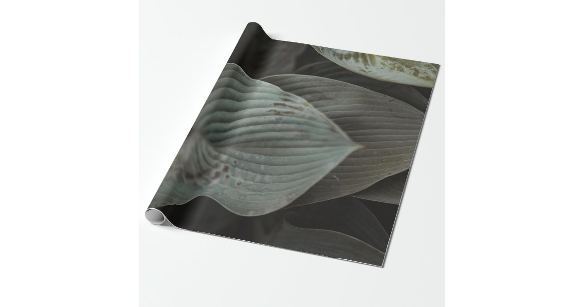 Large Leaf Wrapping Paper | Zazzle