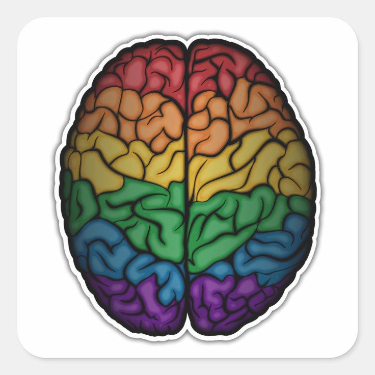 Large LGBTQ Pride Rainbow Brain Vector Square Sticker | Zazzle