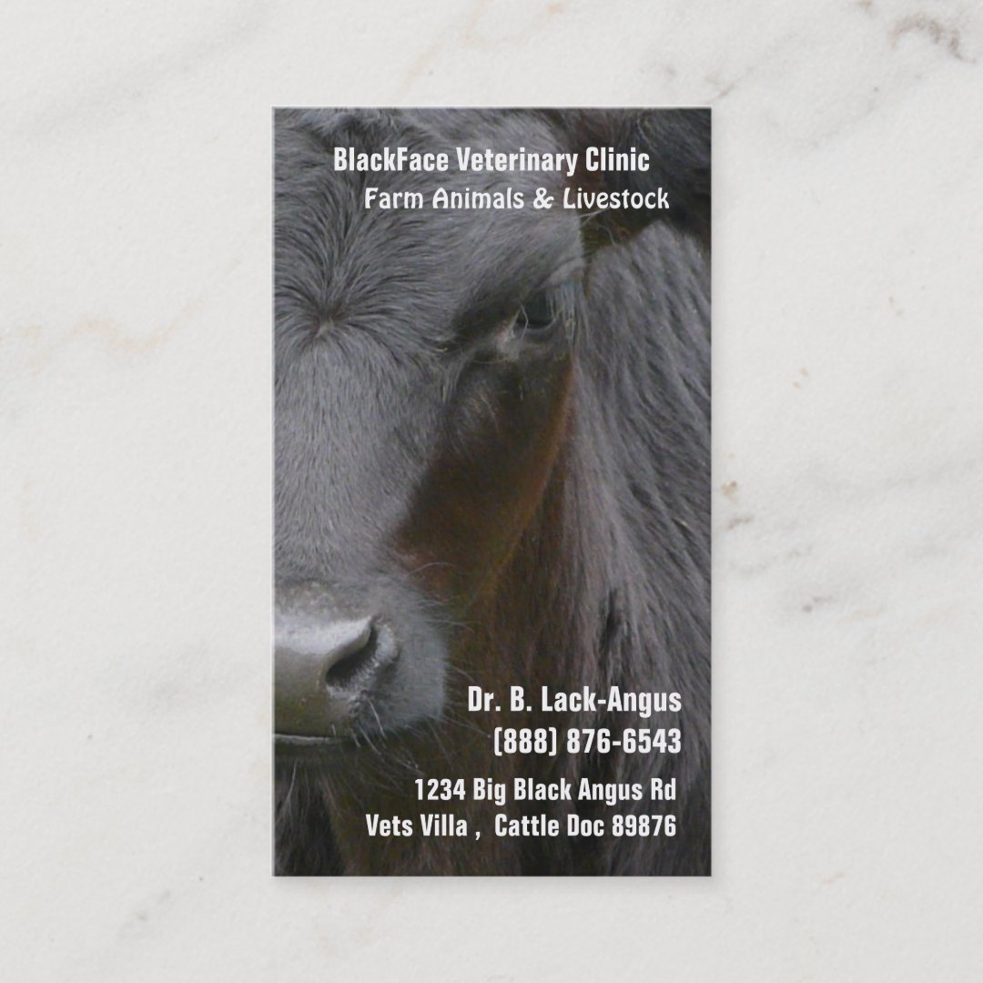 Large Livestock Veterinarian - Black Angus Cow Business Card | Zazzle