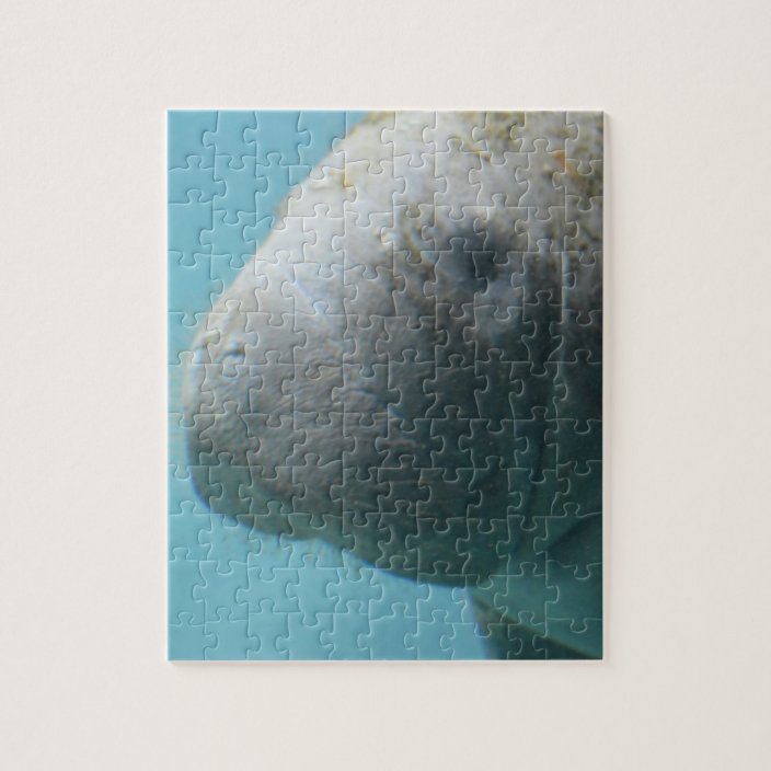 Large Manatee Underwater Jigsaw Puzzle | Zazzle.com