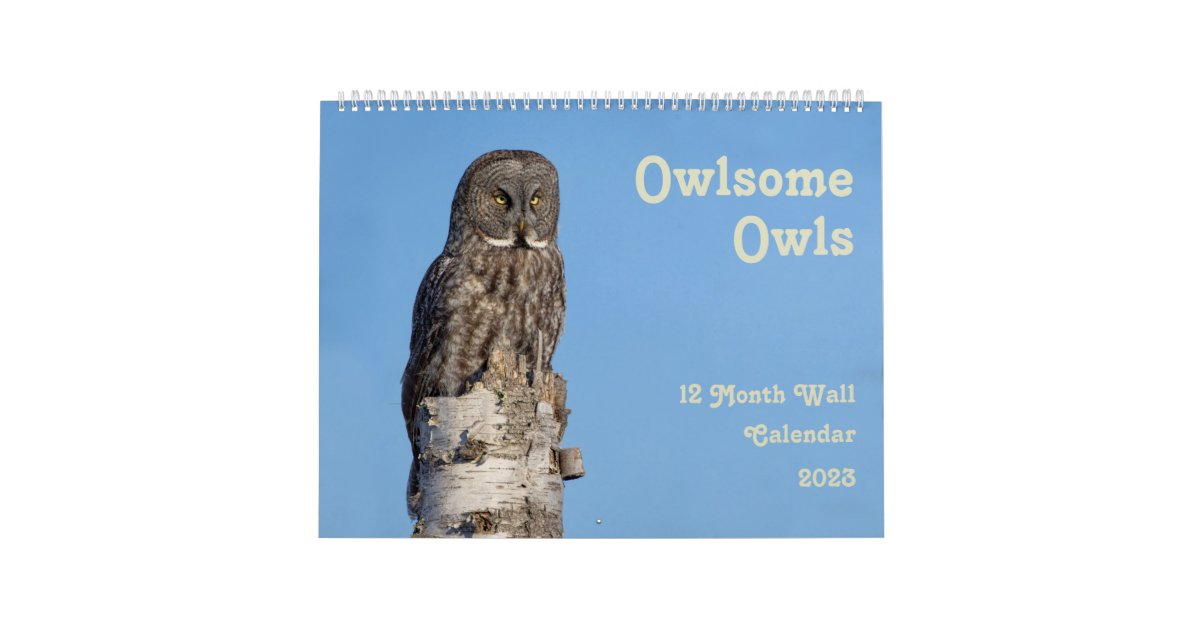 Large Owl Wall Calendar | Zazzle