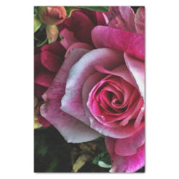 Large Pink Rose Tissue Paper | Zazzle
