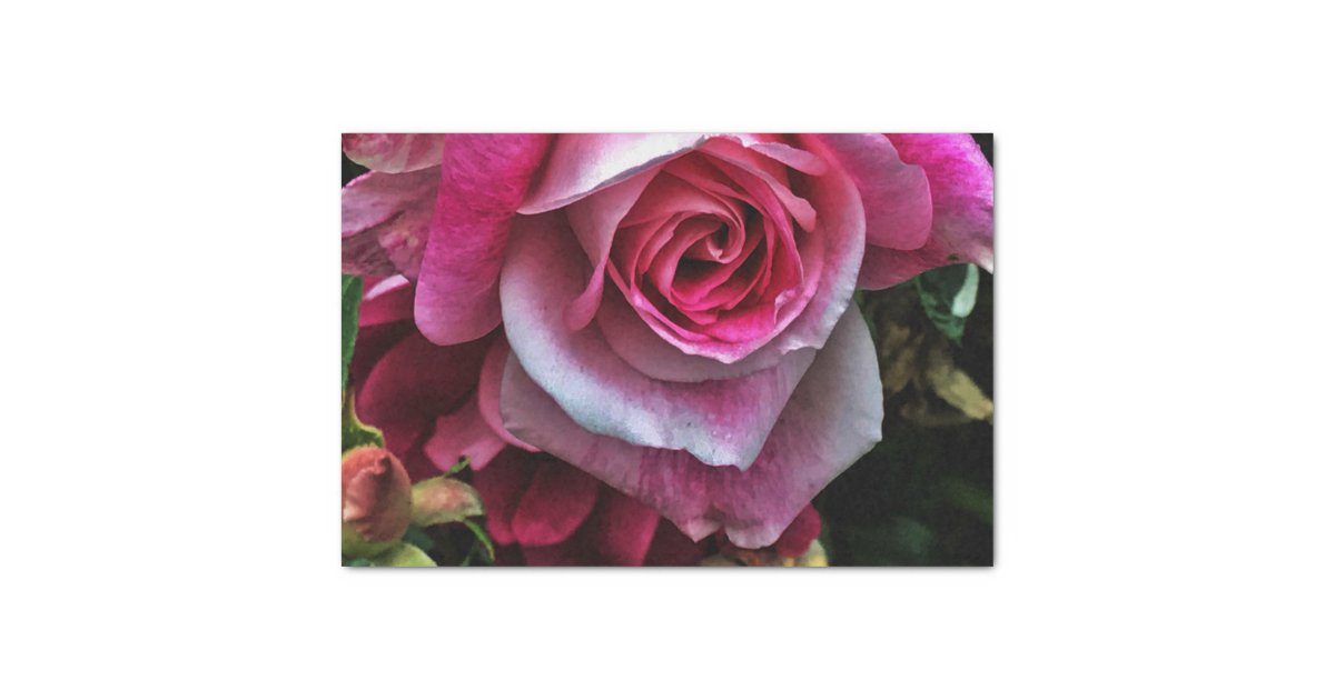 Large Pink Rose Tissue Paper | Zazzle