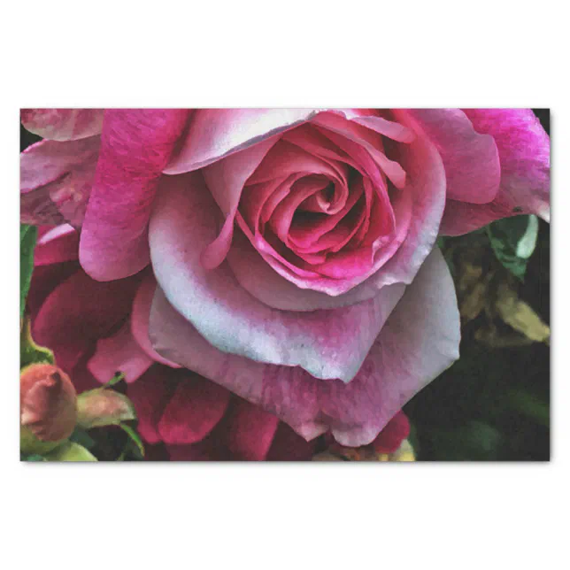 Large Pink Rose Tissue Paper | Zazzle