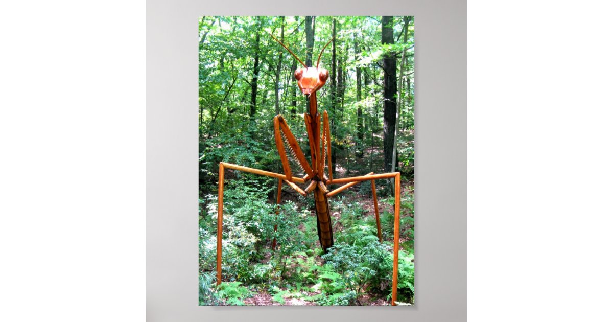 Large Praying Mantis Poster | Zazzle