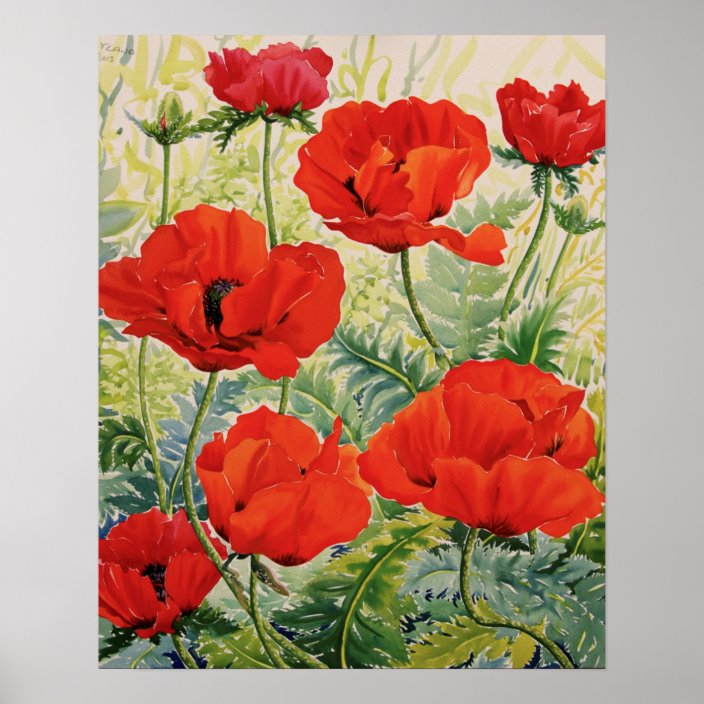Large Red Poppies Poster | Zazzle.com