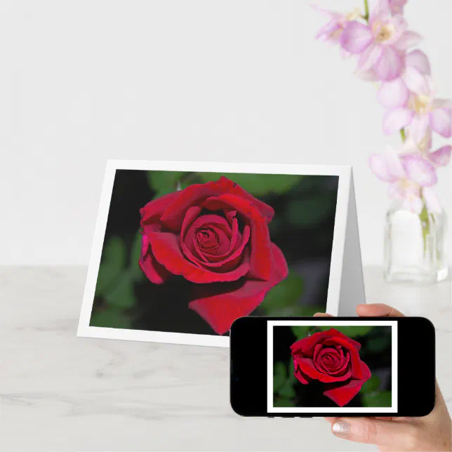 Large Red Rose Portrait Card | Zazzle