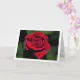 Large Red Rose Portrait Card | Zazzle