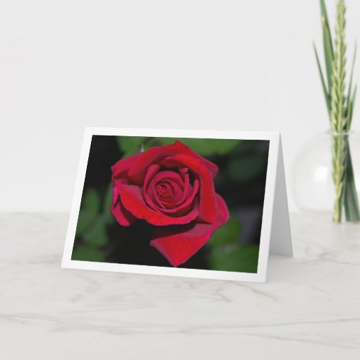 Large Red Rose Portrait Card | Zazzle