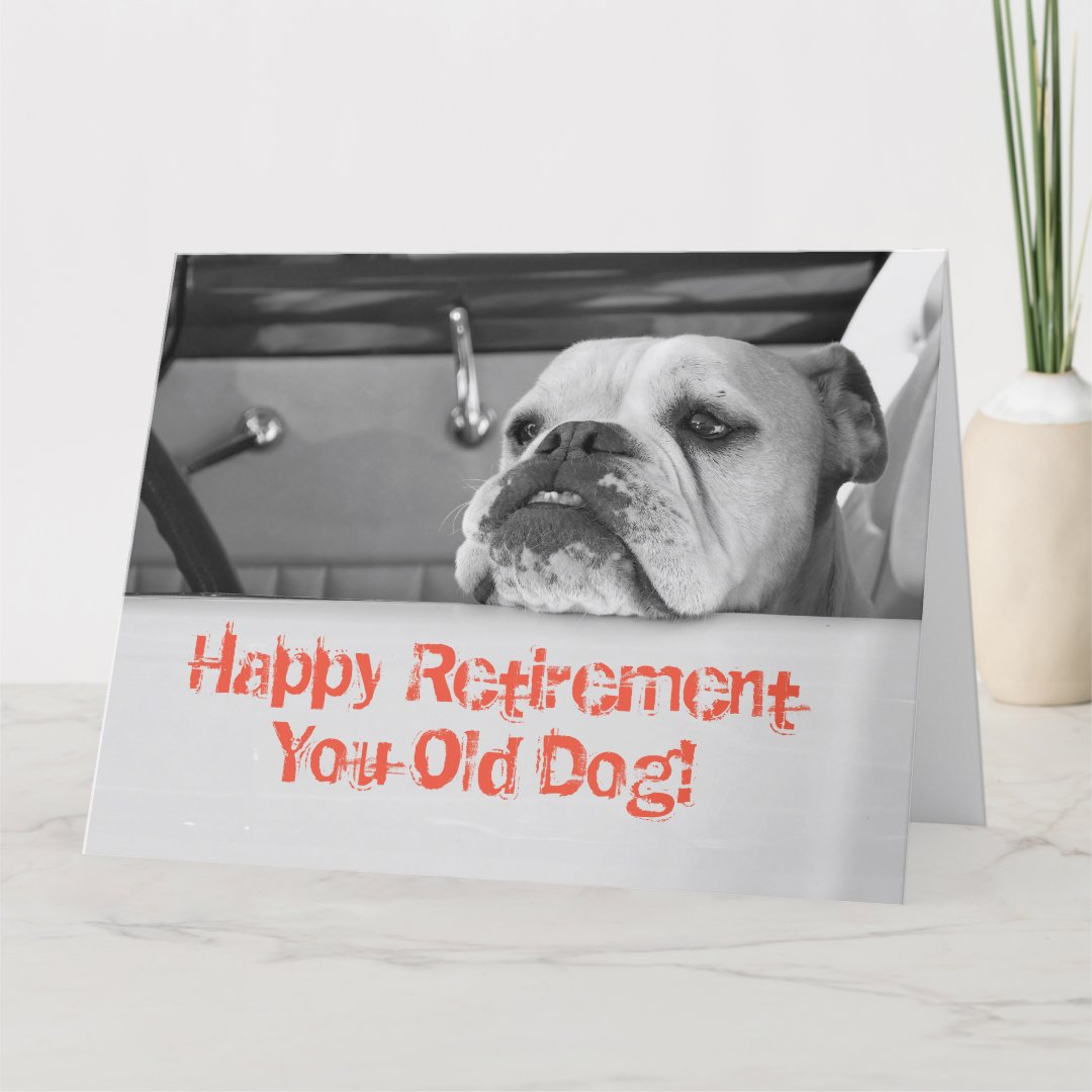 Large Retirement Greeting Card Australian Bulldog | Zazzle