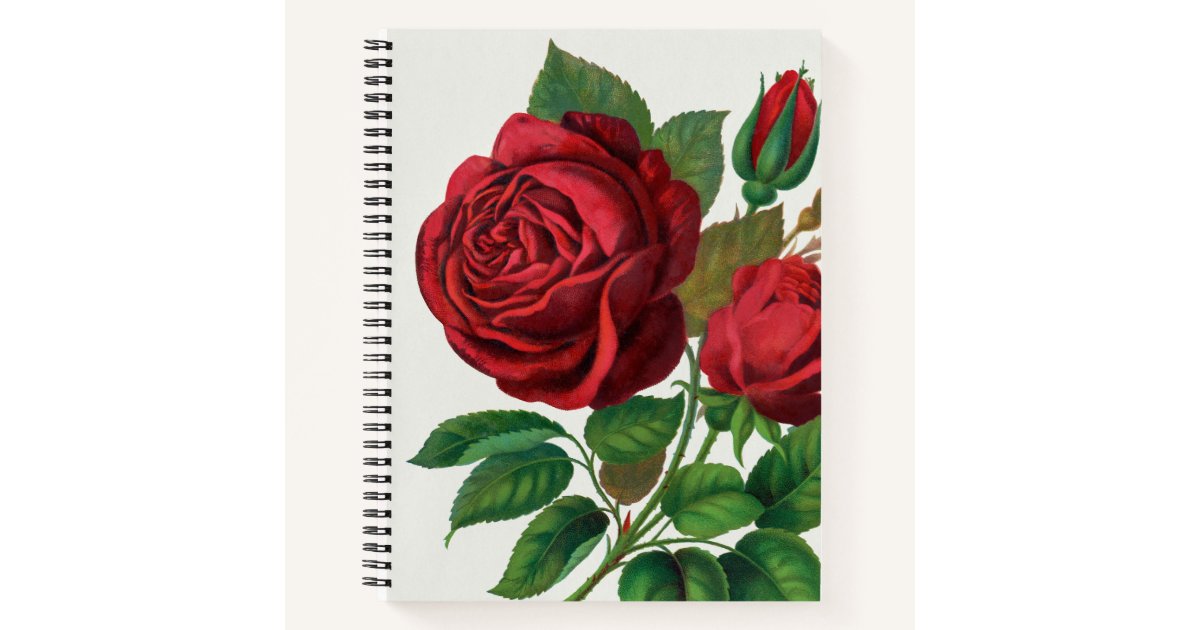 Large Rose Bullet Journal | Zazzle