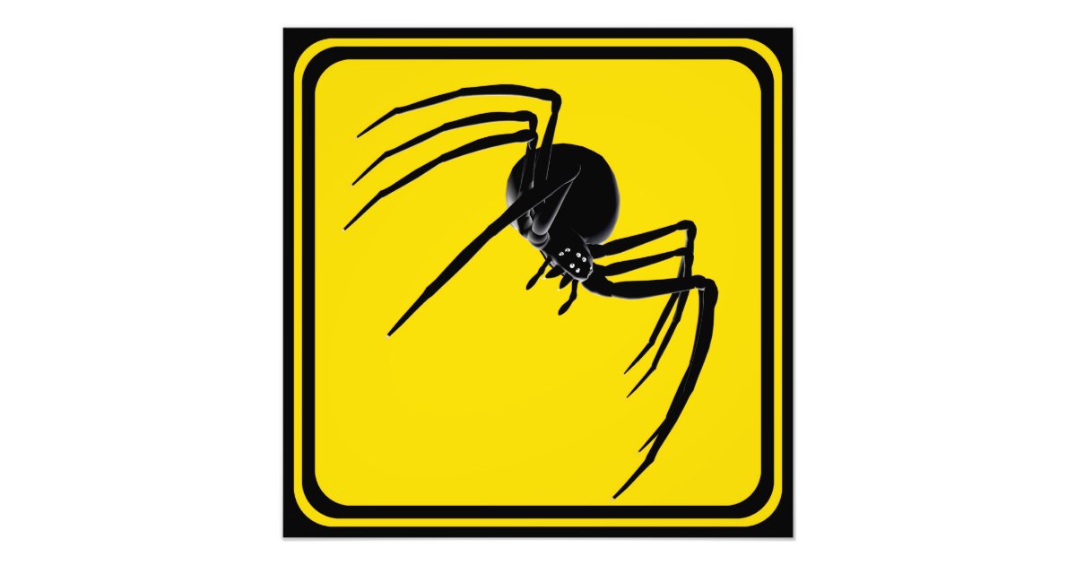Large Spider Crossing! Photo Print | Zazzle