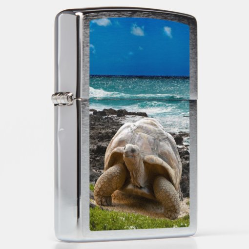 Large turtle at the sea edge zippo lighter | Zazzle