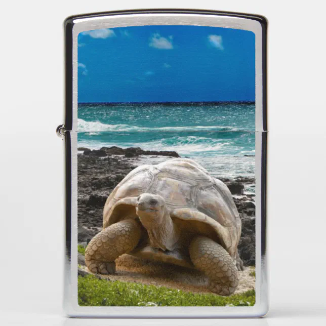 Large turtle at the sea edge zippo lighter | Zazzle