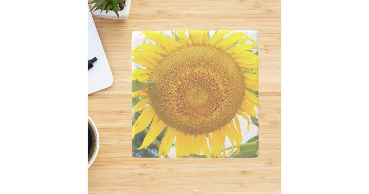 Large Yellow Sunflower Floral Stone Coaster | Zazzle