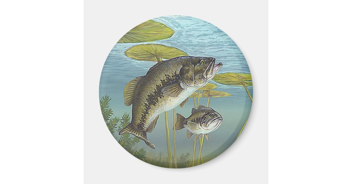 Largemouth Bass Magnet | Zazzle