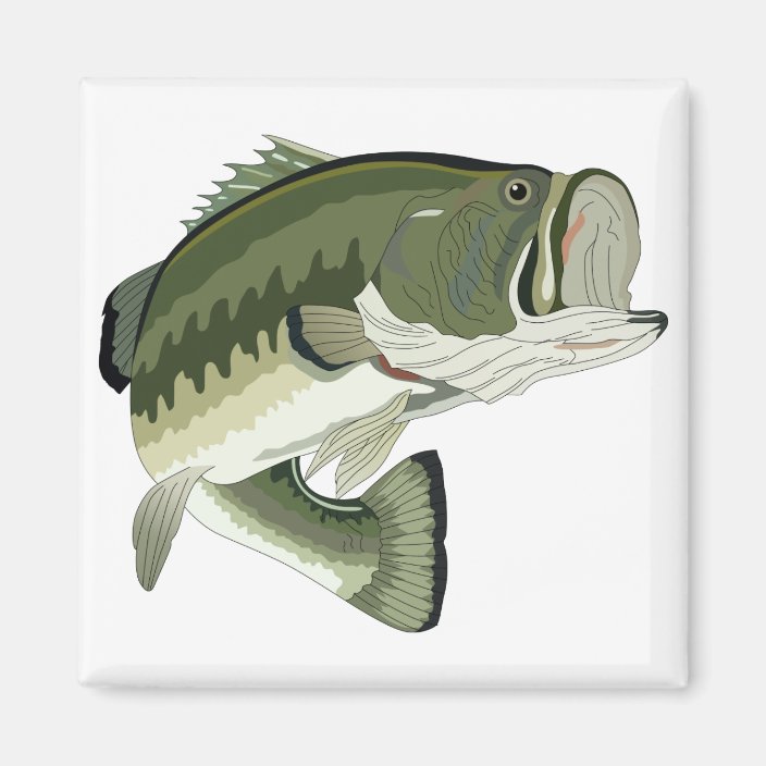 LARGEMOUTH BASS MAGNET | Zazzle.com