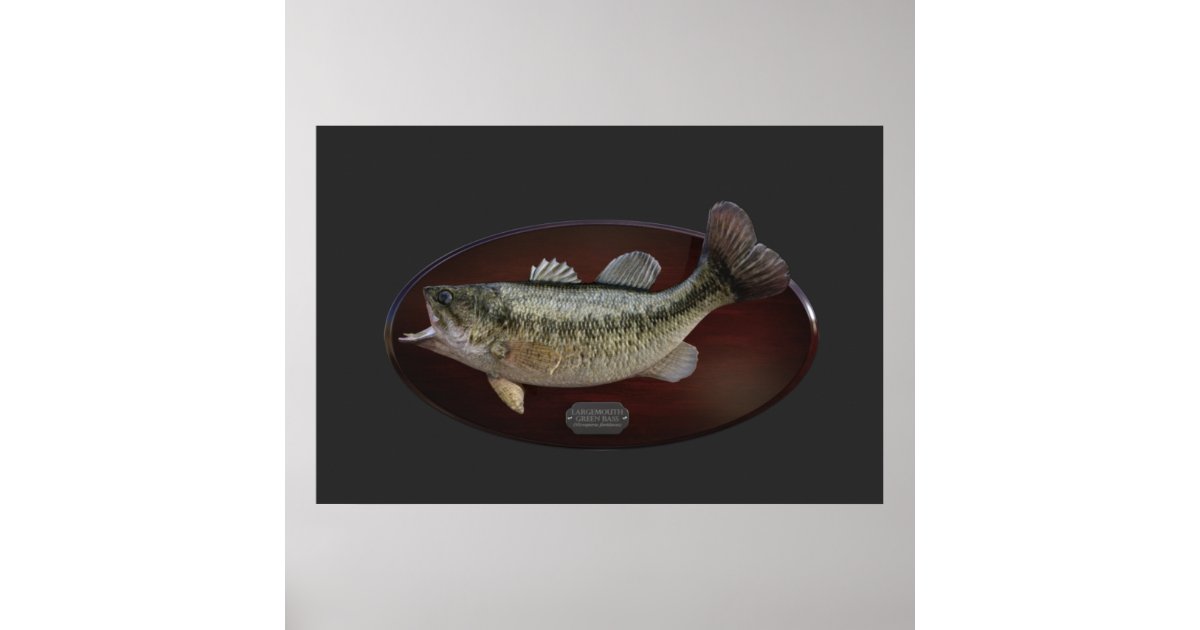 Largemouth Green Bass Trophy Plaque Poster | Zazzle