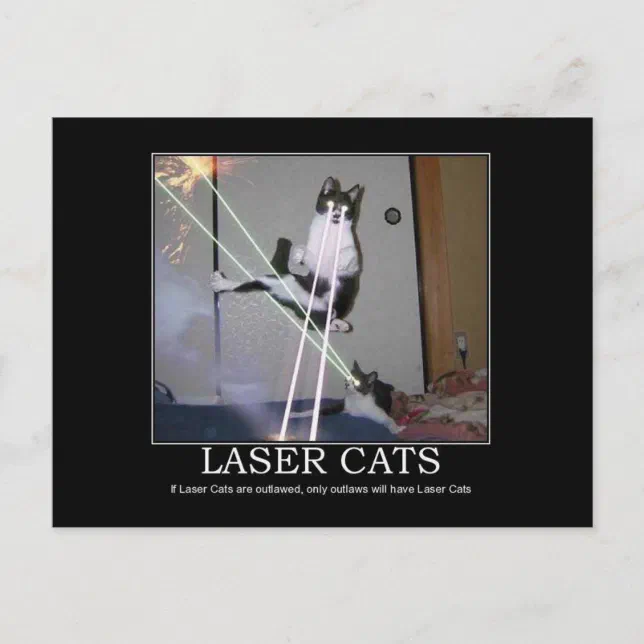 Laser Cats Postcard | Zazzle