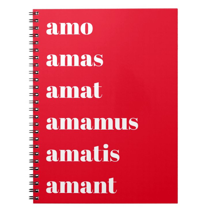 Latin Amo Amas Amat Schooldays Theme Notebook | Zazzle