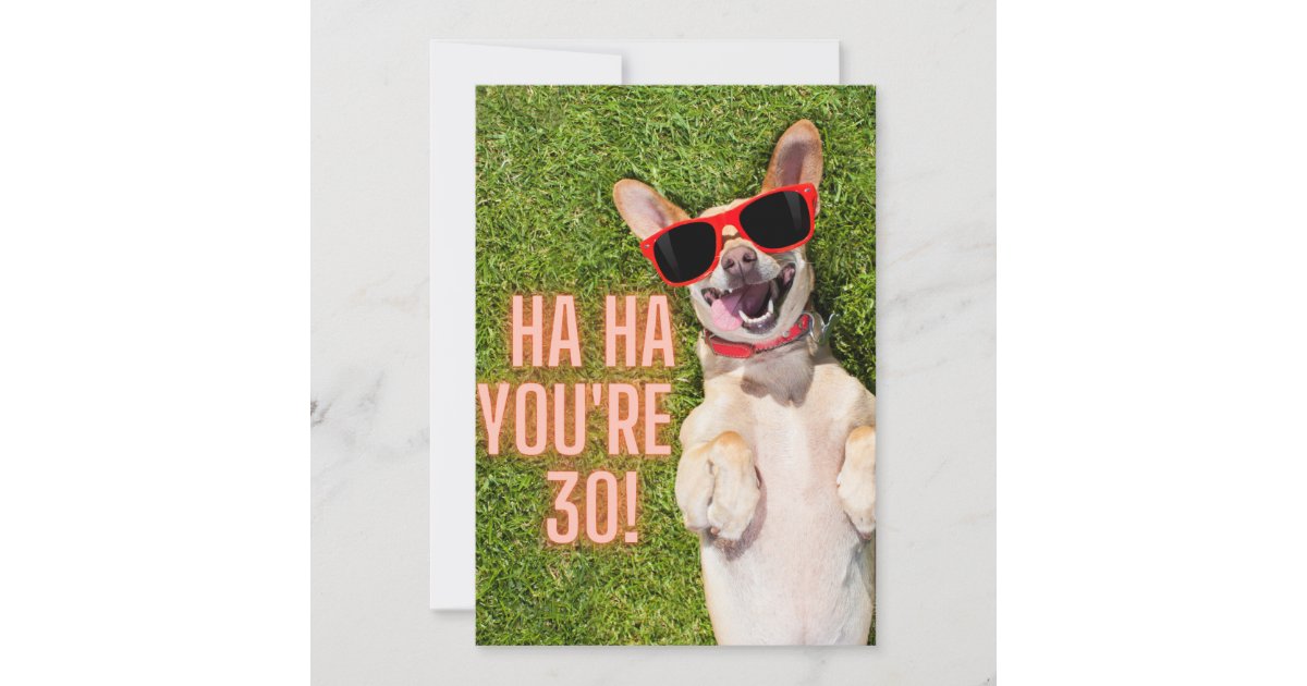 Laughing Dog 30th Birthday Card | Zazzle