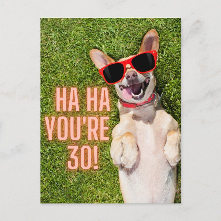 Laughing Dog 30th Birthday Postcard | Zazzle