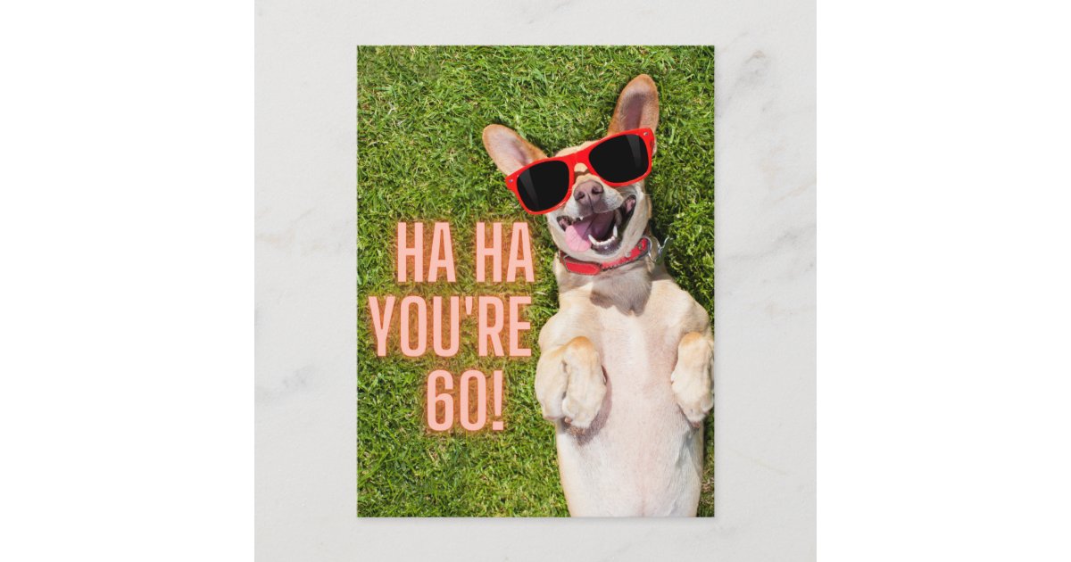Laughing Dog 60th Birthday Postcard | Zazzle