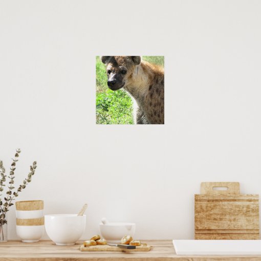 Laughing Hyena Poster | Zazzle