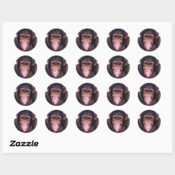 Laughing Monkey Classic Round Sticker | Zazzle