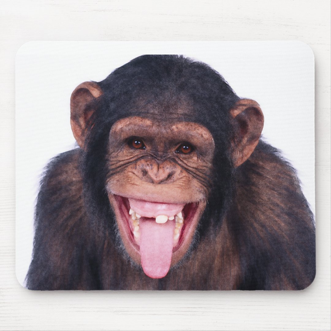 Laughing Monkey Mouse Pad | Zazzle