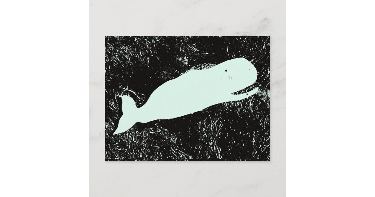 laughing white whale postcard | Zazzle
