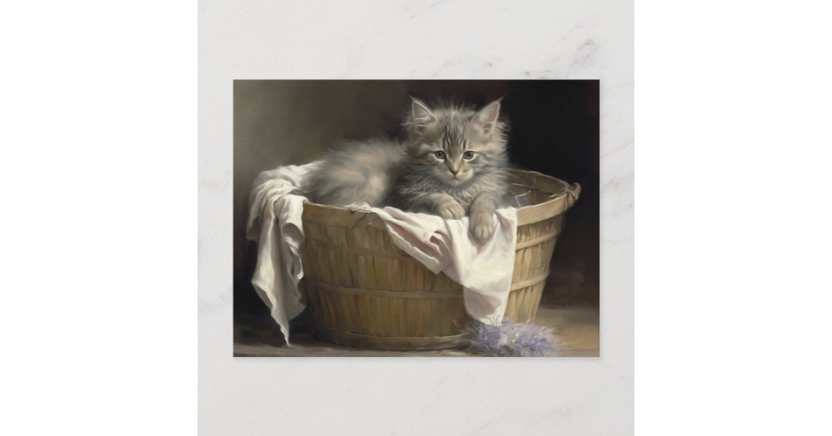 Laundry Or Playtime Gray Kitten Portrait Postcard | Zazzle