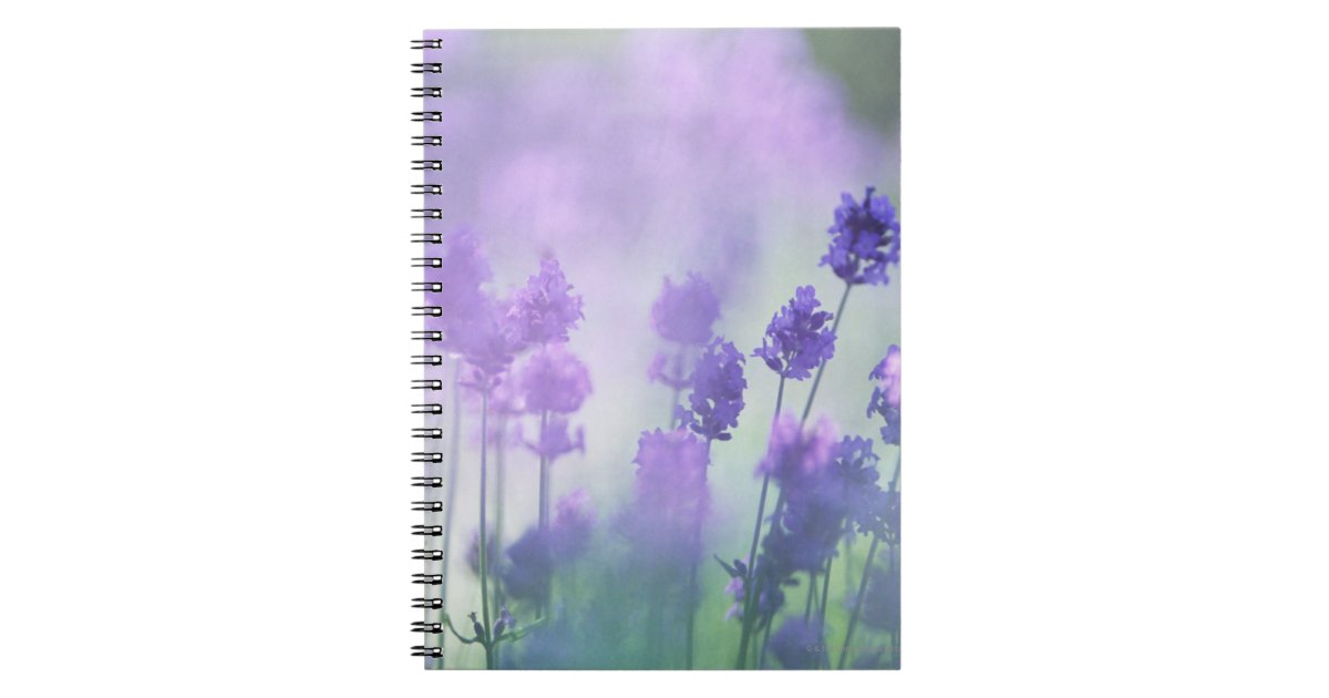 Lavender 2 notebook | Zazzle.com