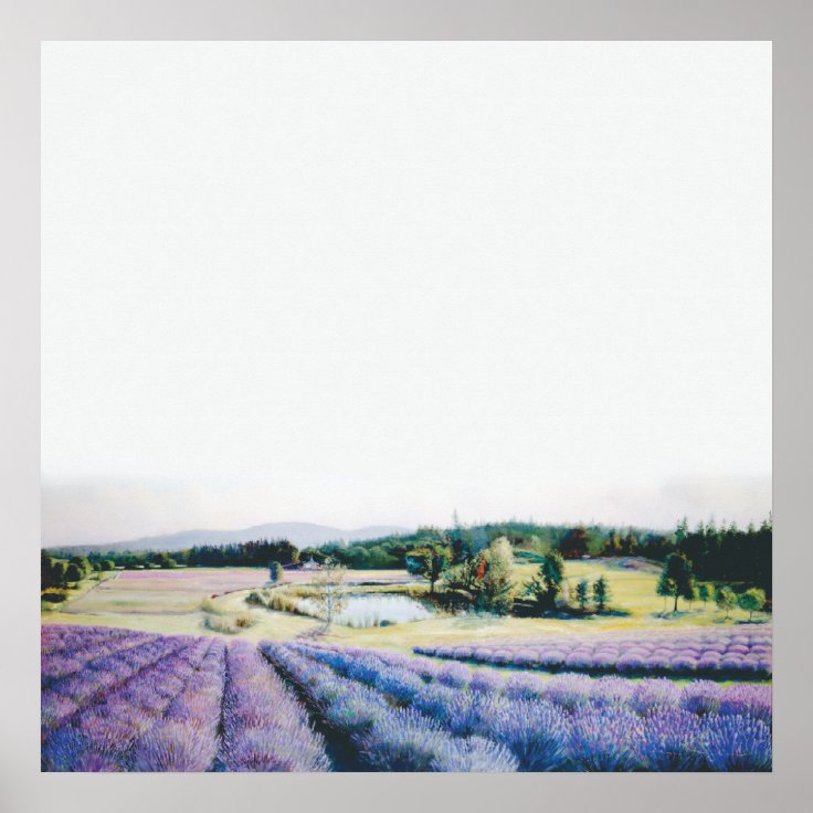 Lavender Farm on San Juan Island by Bryn Barnard Poster | Zazzle