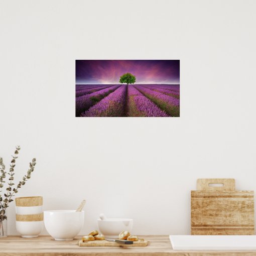 Lavender Field Landscape Summer Sunset Poster | Zazzle