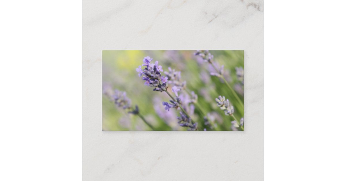 Lavender Flowers. Business Card | Zazzle