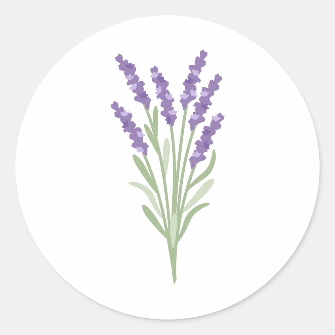 Lavender Herb Classic Round Sticker | Zazzle