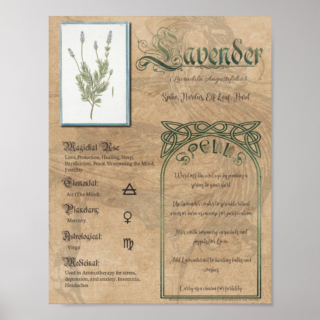 Lavender Herbal Book of Shadows Pagan Wiccan Poster | Zazzle