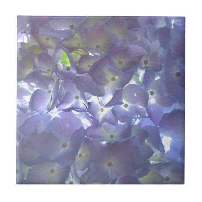 Lavender Hydrangeas Ceramic Tile | Zazzle