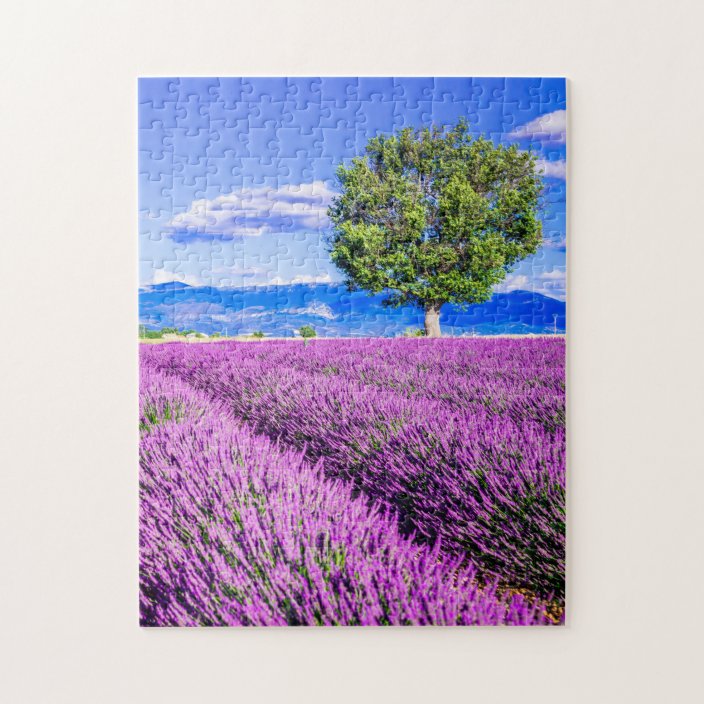 Lavender in Provence Jigsaw Puzzle | Zazzle.com