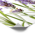 Lavender Seating Chart | Zazzle