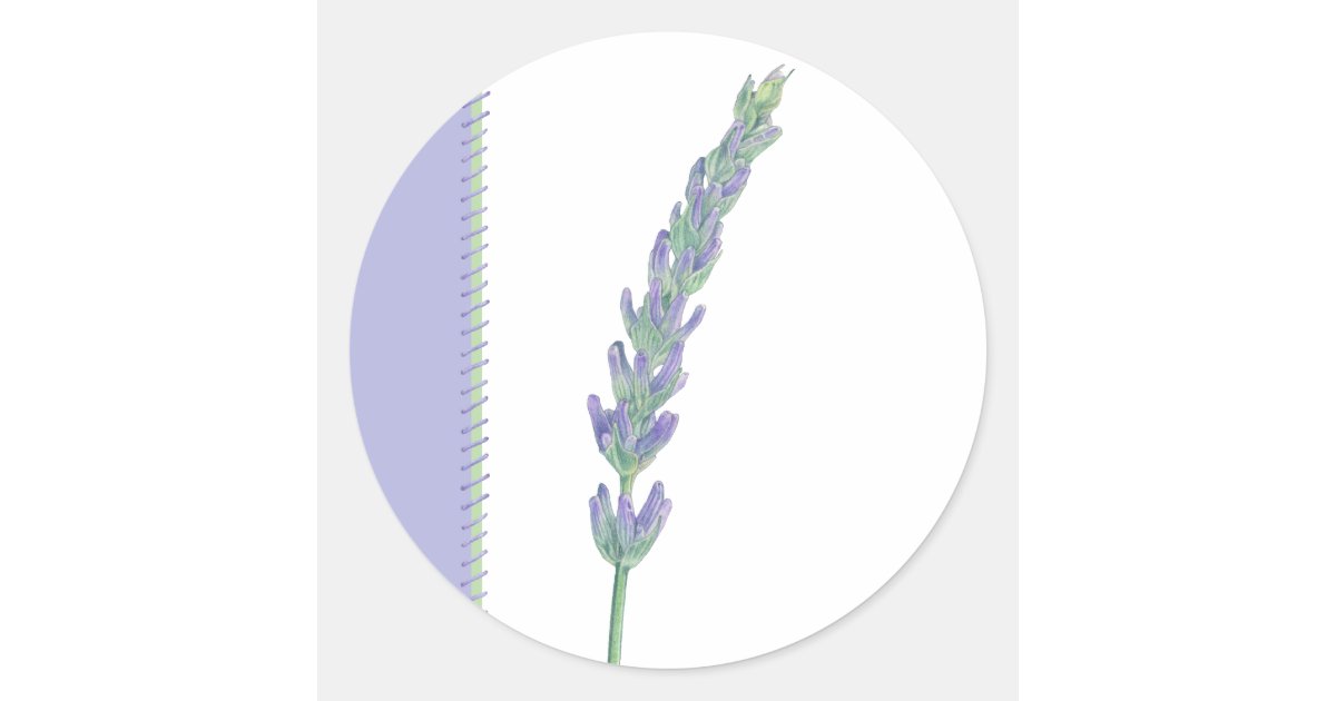 Lavender Sprig Sticker | Zazzle