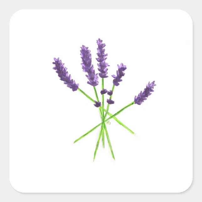 Lavender Sticker | Zazzle
