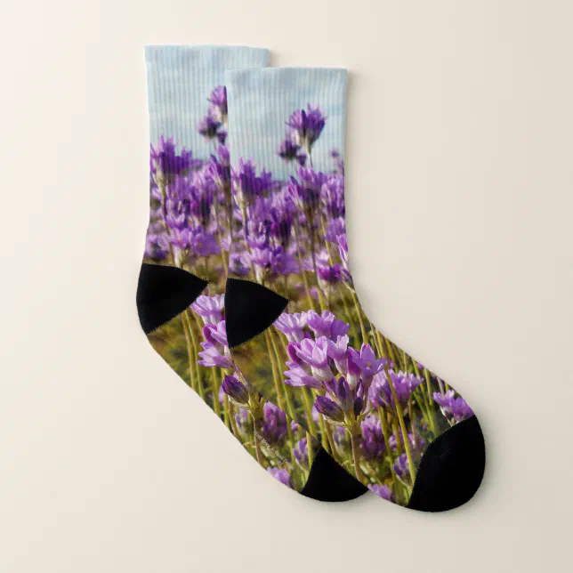 Lavender Wildflowers Wild Hyacinth Desert Blooms Socks | Zazzle