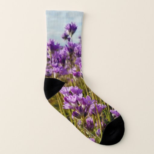 Lavender Wildflowers Wild Hyacinth Desert Blooms Socks | Zazzle