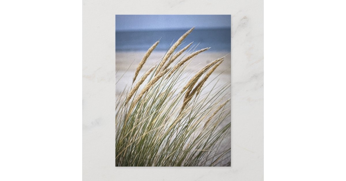 Lazy day at the Beach Postcard | Zazzle