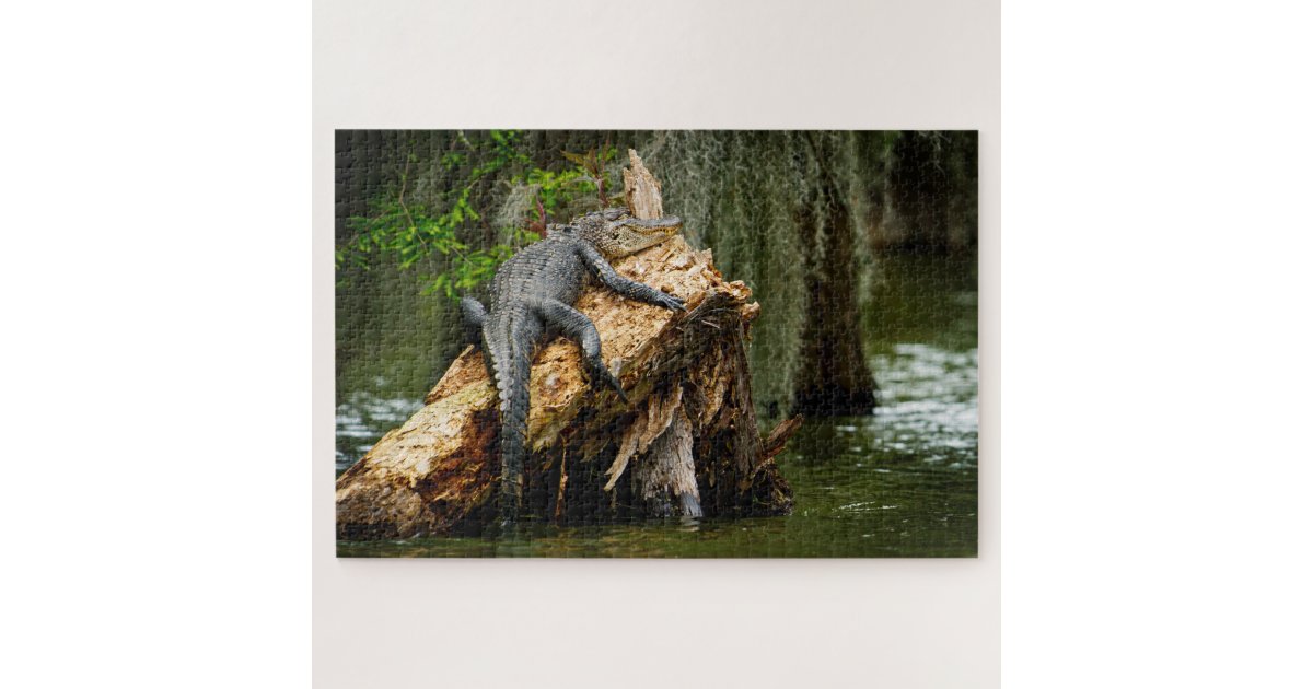 Lazy Gator Jigsaw Puzzle | Zazzle