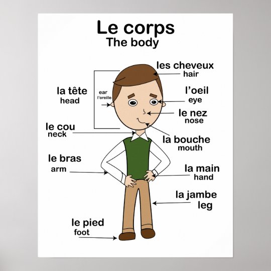 Le corps the body French English Educational Poster | Zazzle.com