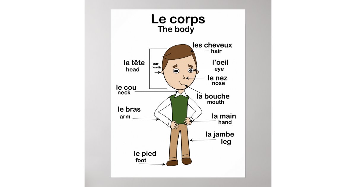 Le corps the body French English Educational Poster | Zazzle